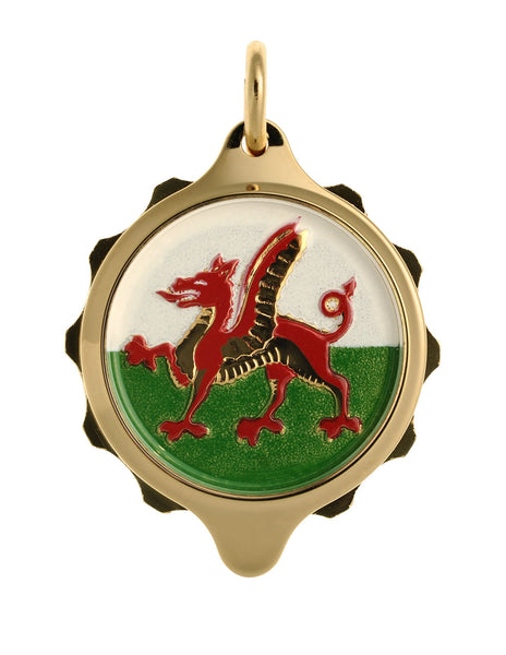 Gold Plated (Coloured Pendant with 22" chain) - Welsh Dragon – SOS Talisman